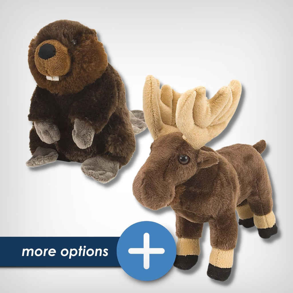 8" Stuffed Animal – National Museum of the Great Lakes